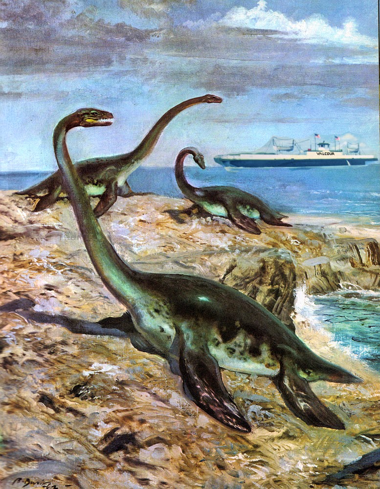 Enter: The PlesiOturtle: Enter: The Plesi-O-Turtle