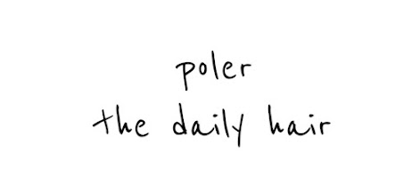 about the poler|poler the daily hair