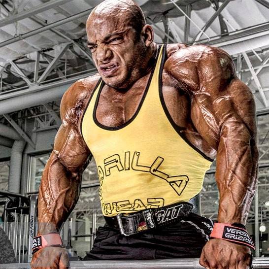 world bodybuilders pictures: egyptian bodybuilder Ramy al masri with ...