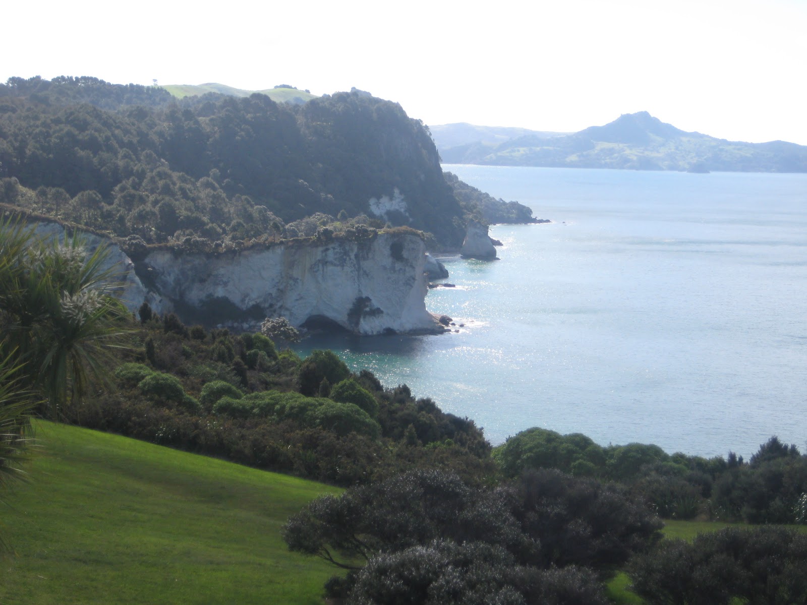 Wanderlust: Coromandel Peninsula