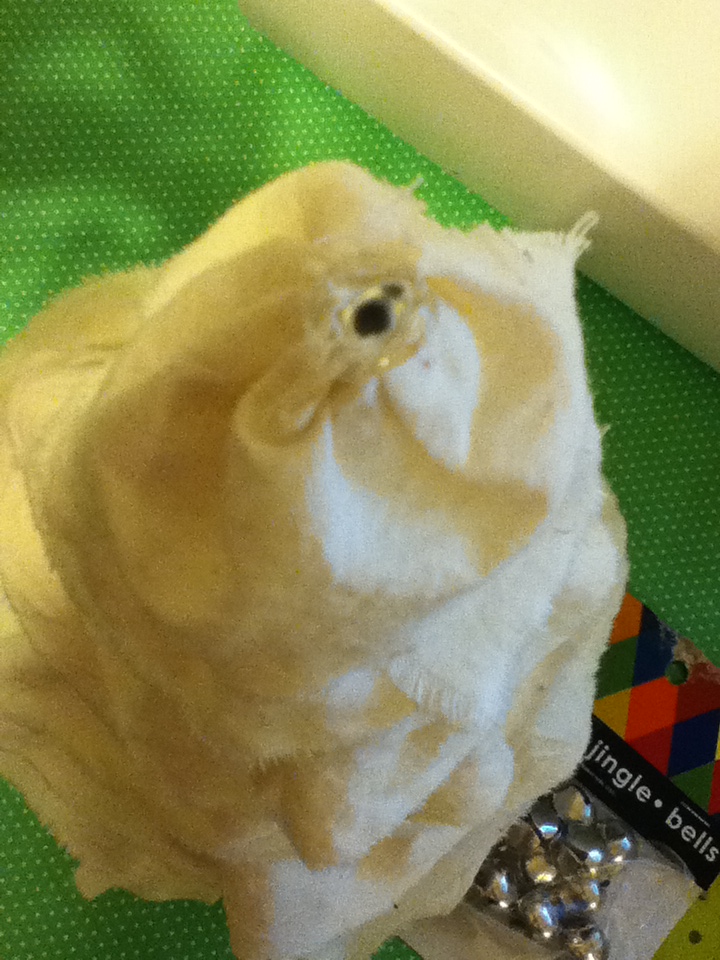 The Creative Vault: Ruffled Muslin Trees {Tutorial}