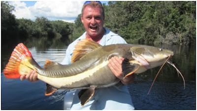 Extreme Angling in the Amazon ~ Tacklebargains Fishing Tips and Advice Blog