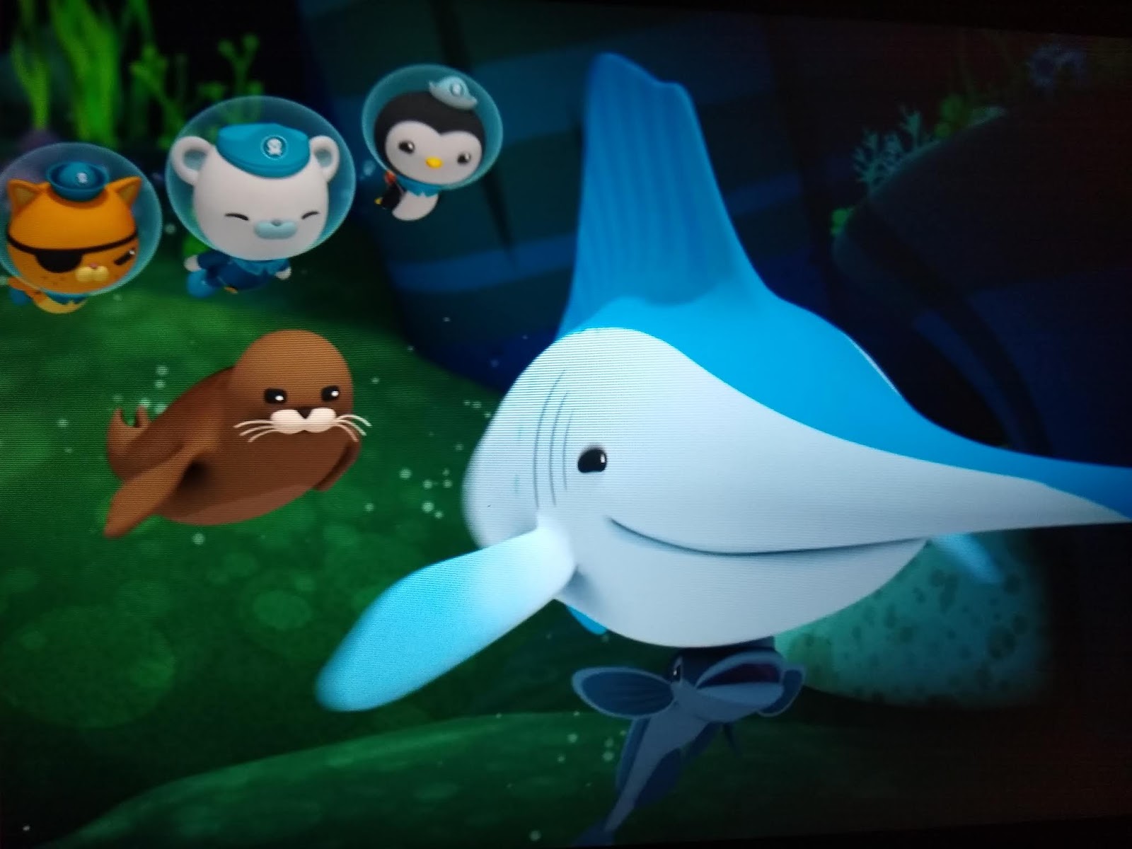Pinniped Joy on Disney Junior: the Octonauts Get Their Pinniped Science ...