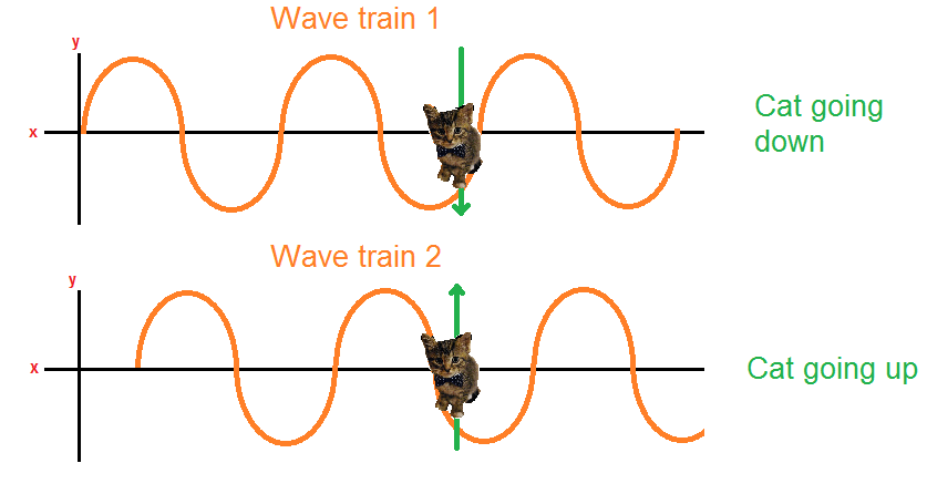 Physics, explained by cats: Phase and Coherence...and a seasick cat.