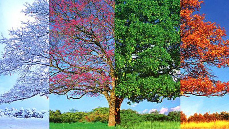 Los Quintos: THE FOUR SEASONS: 22ND APRIL 2020