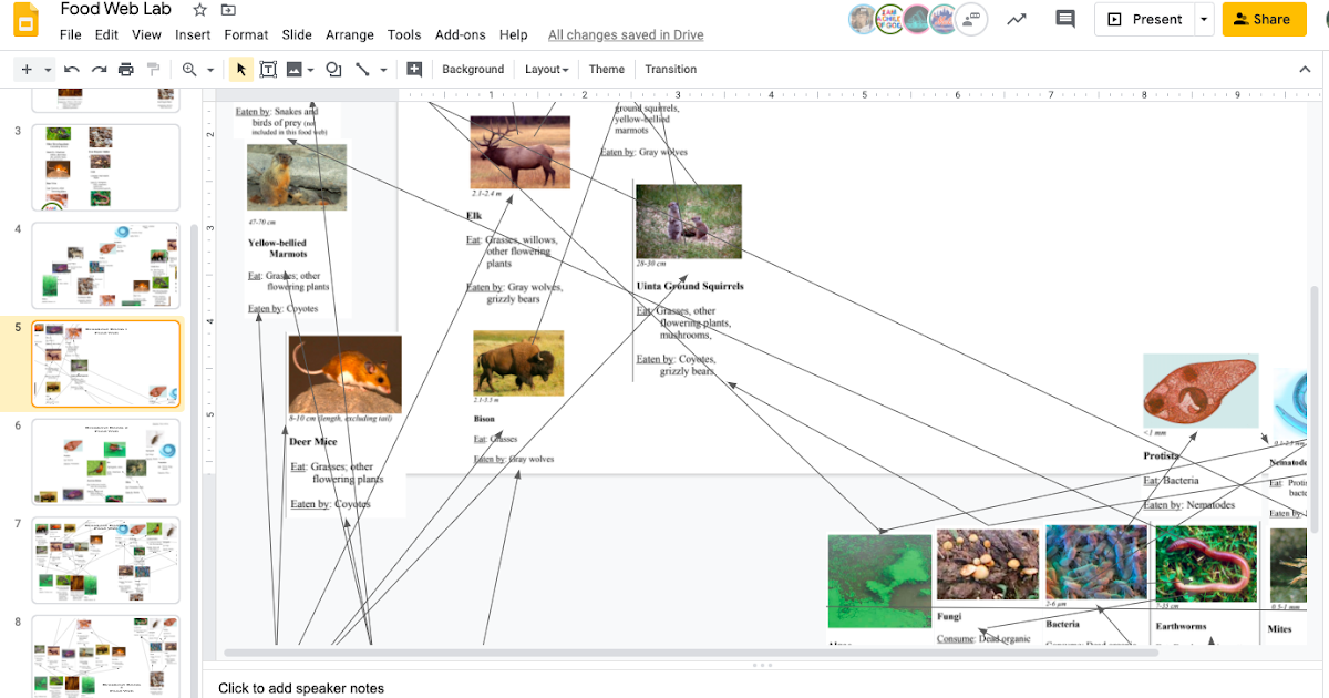 Biology by the Math Mom: Food Webs Lab: Live or Virtual