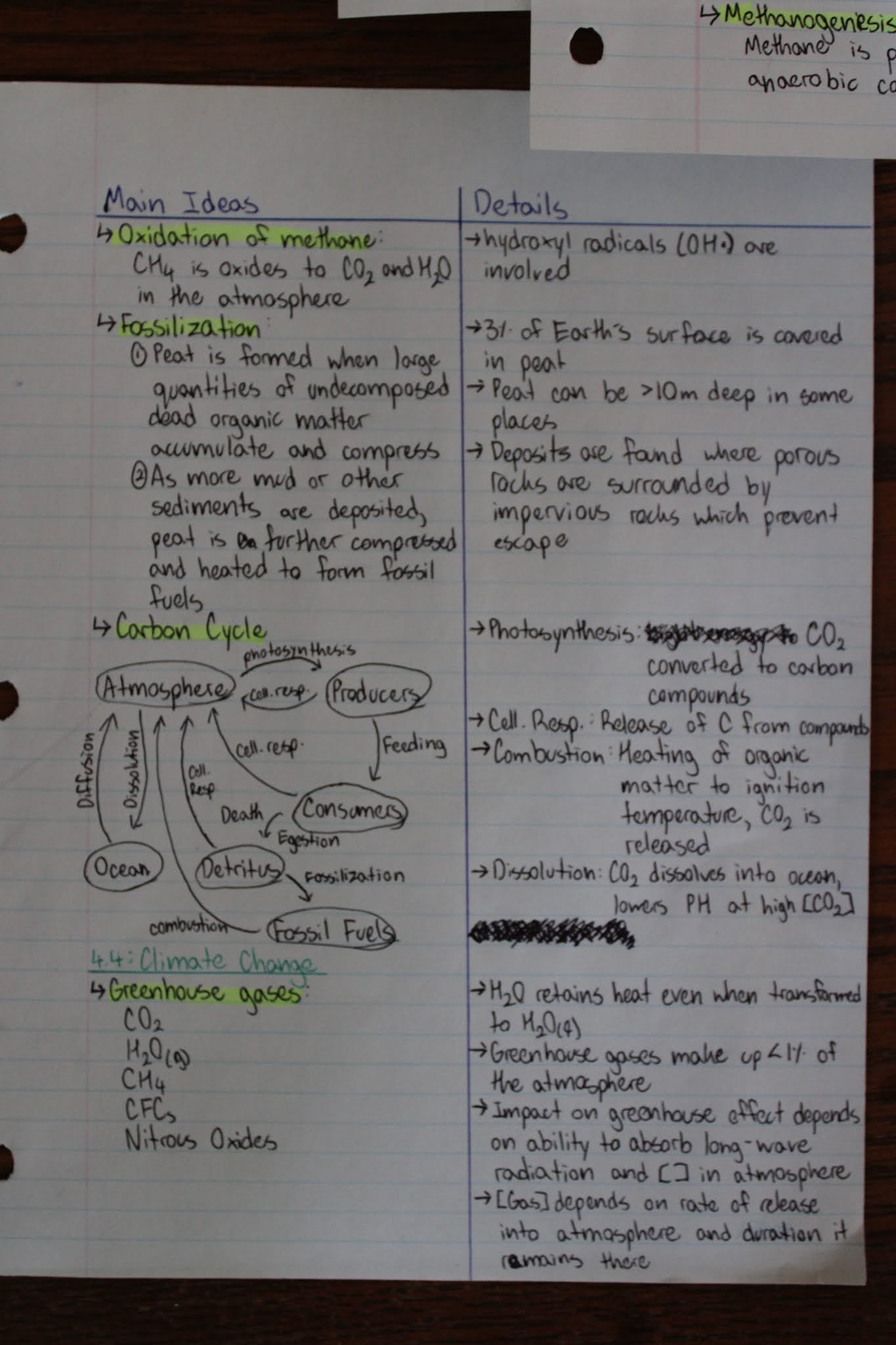 Ecology Study Notes
