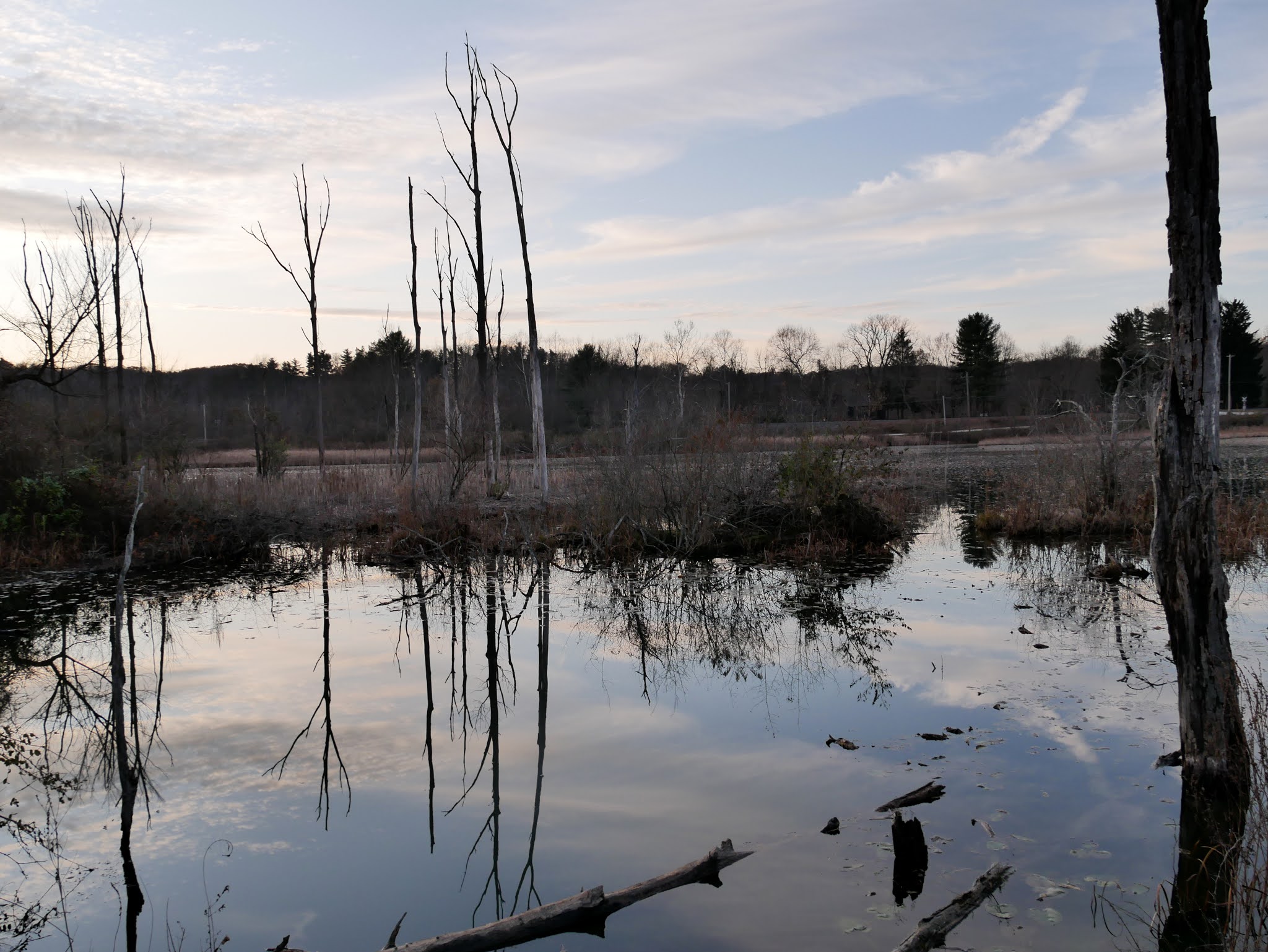 American Travel Journal: Beaver Marsh - Cuyahoga Valley National Park