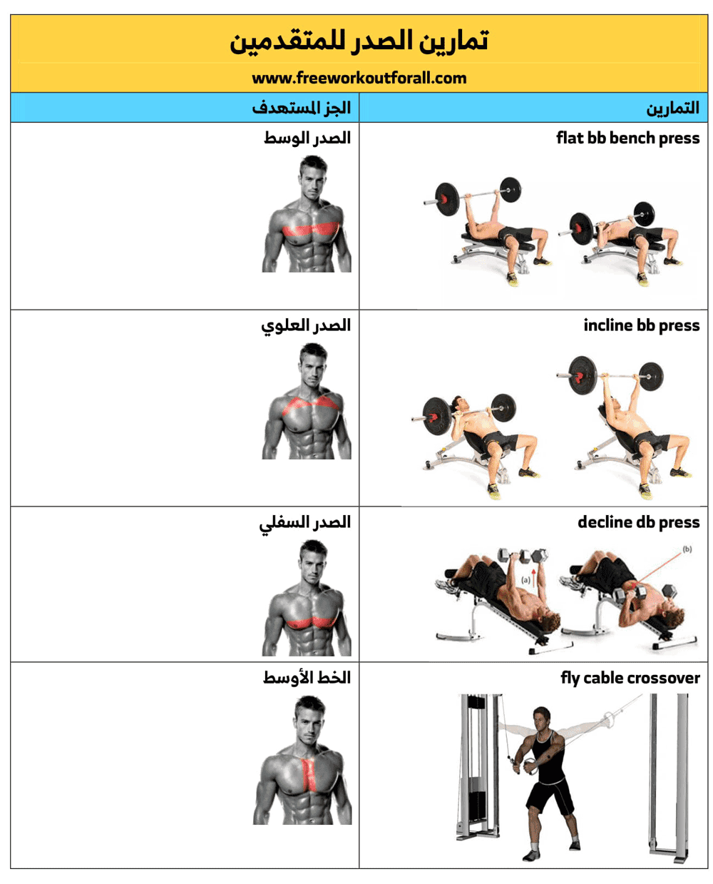 أقوى التمارين لتضخيم عضلة الصدر