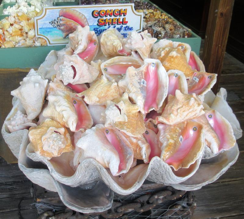 Cruising the ICW with Bob423: Key West - Shell Factory and Yours and Mayan