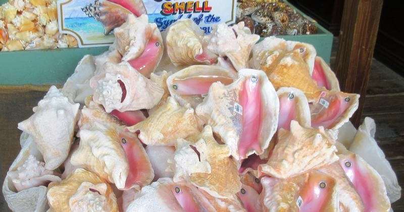 Cruising the ICW with Bob423: Key West - Shell Factory and Yours and Mayan