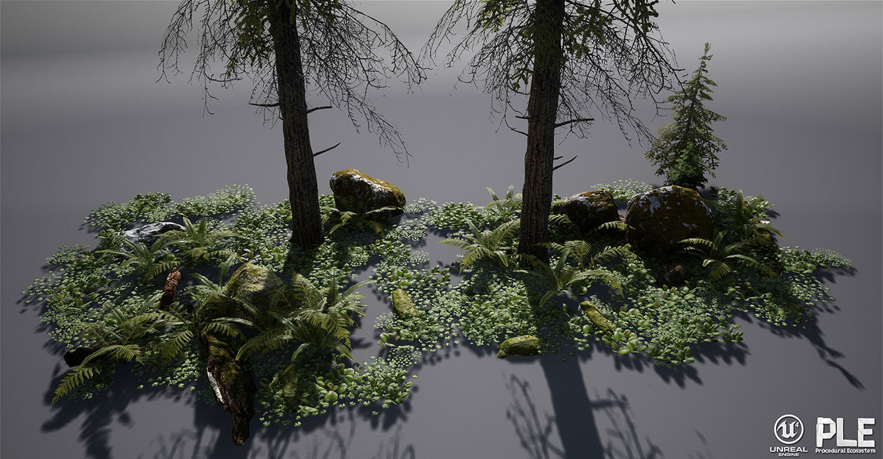 Procedural Landscape Ecosystem for UE4 | Computer Graphics Daily News