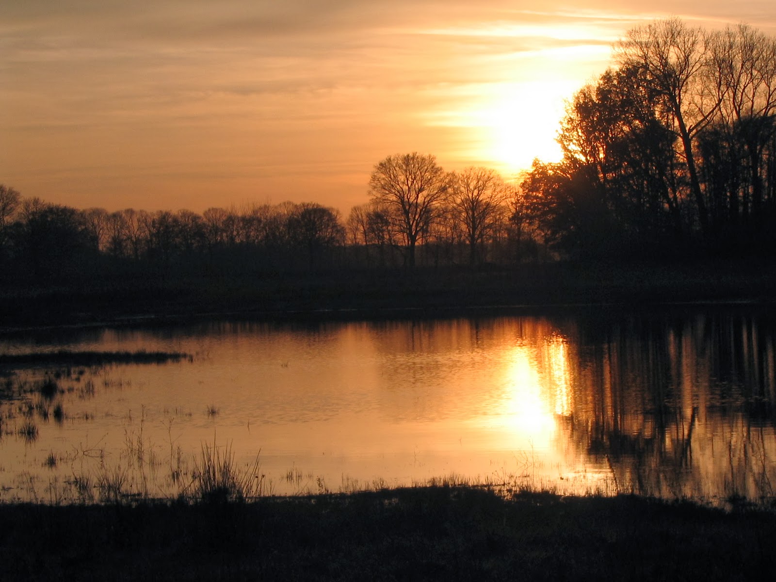 Weert en natuur: Waarom is het water van het blauwe meertje zo blauw?