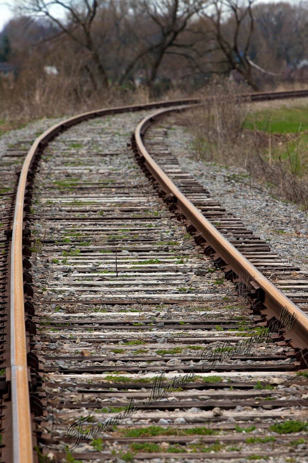 Fernando Matias Photography - Ottawa Ontario - Ottawa Wedding ...