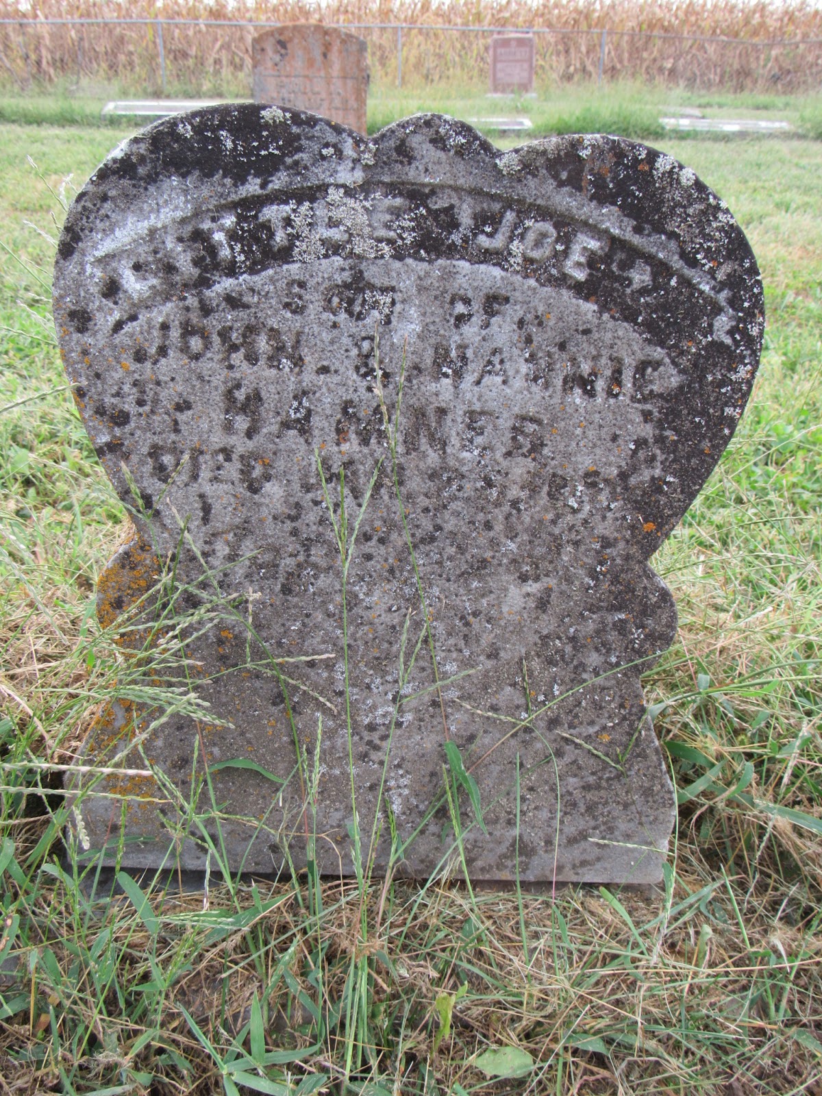 A Walk Through The Tombstones: Hamner Cemetery