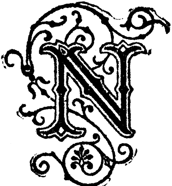 Fancy Letter N Designs - Birthday Letter