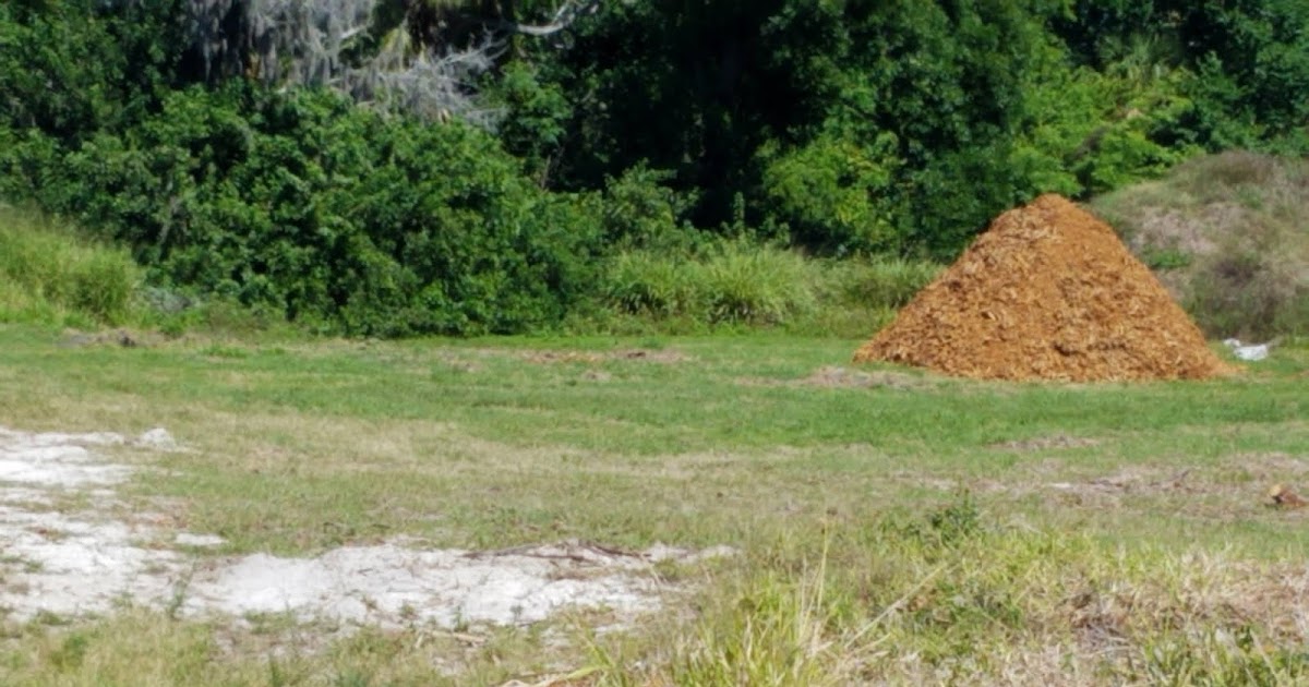 HIS MOMENTS: July 18 Prayer Pod