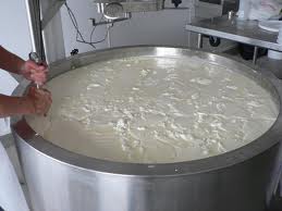 Chef Raman: which one is better Organic milk OR Regular Milk- BY Chef Raman