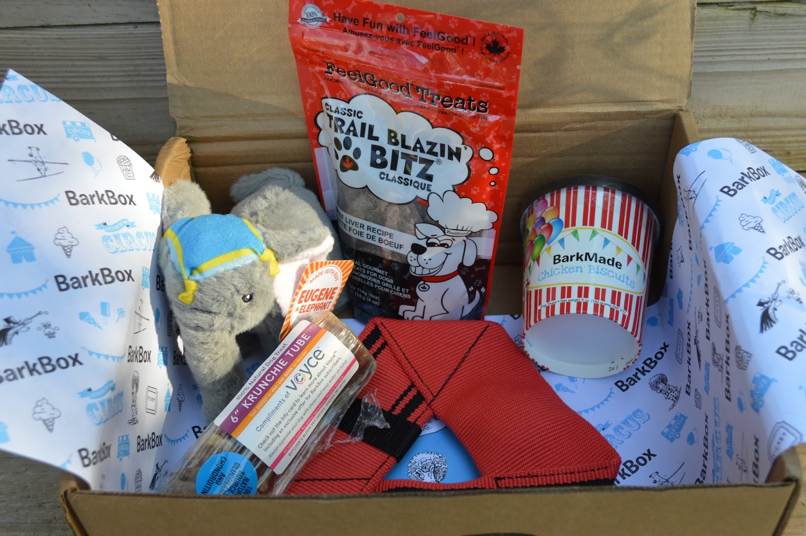 My Rotten Dogs: July 2015 BarkBox Review