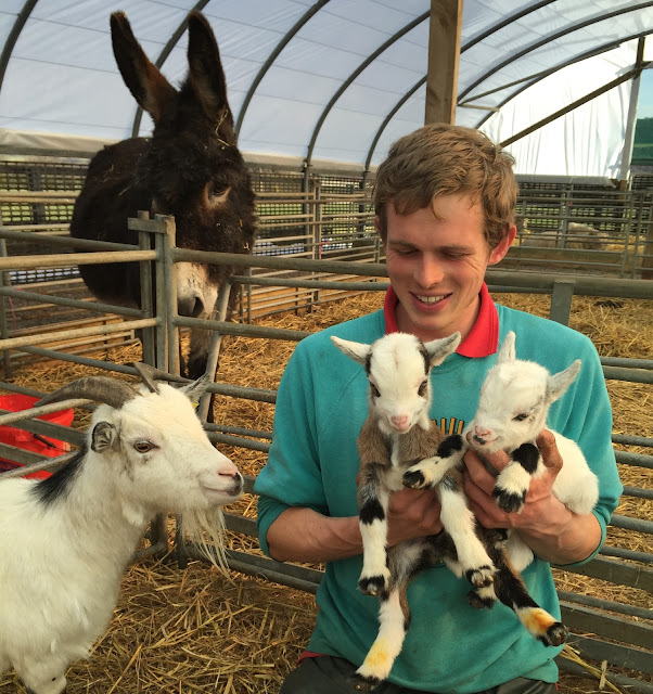 Vote for Hall Hill Farm as #TourismSuperstar Voting Draws To A Close