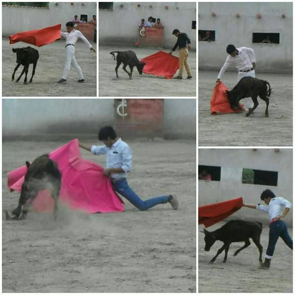 PERÚ TOROS: CLASES PRÁCTICAS DE TOREO EN LA FINCA SOLEDAD DEL MATADOR ...