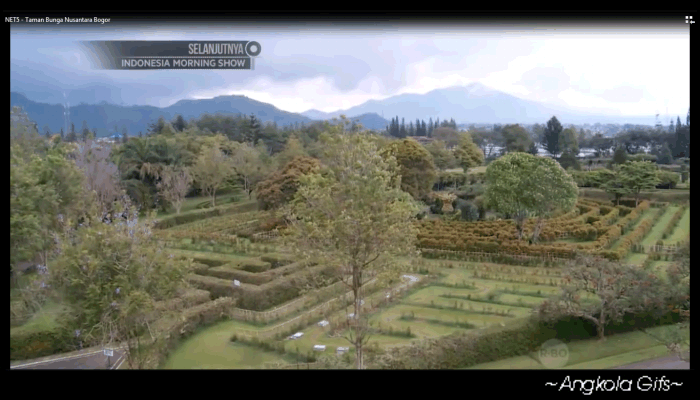 Animation Wallpaper: Animasi Taman Bunga Nusantara - Gif