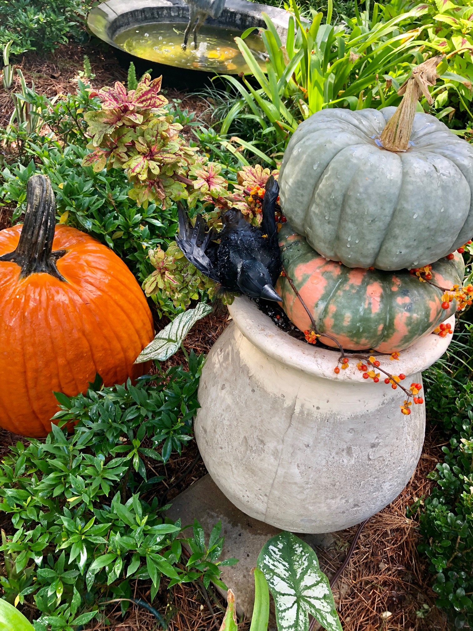 The Uptown Acorn: SPOOKTACULAR October {Attack of the Crows}