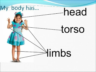 Brain Explorers: 'Head, torso, limbs' (Human body)