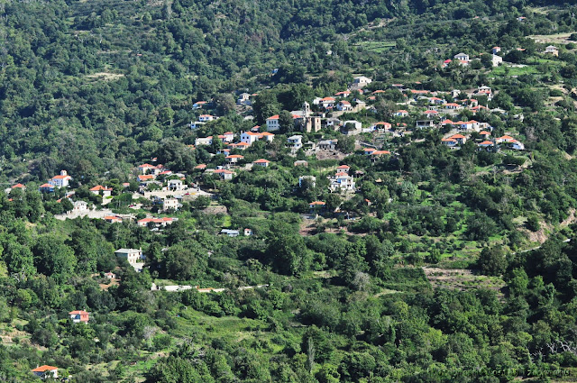 Nature Digital : Drakia. A beautiful village on Mt Pelion. Δράκεια. Ένα ...
