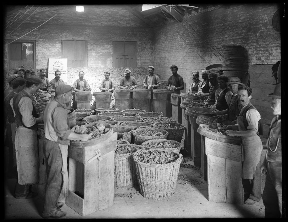 Part of the Past NZ History: Kauri Gum - the industry and the ...