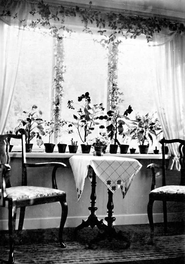 25 Found Photos Show House Interiors in the 1900s and 1910s ~ Vintage ...