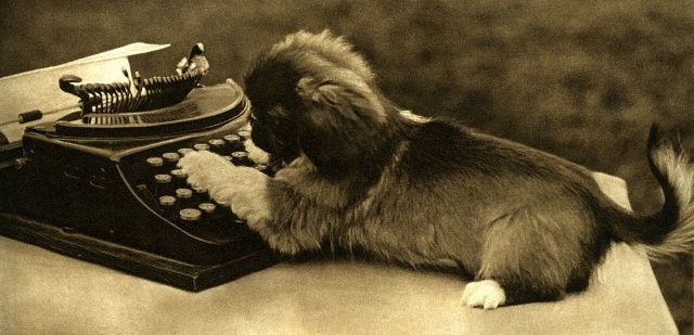 oz.Typewriter: Dogs and Typewriters