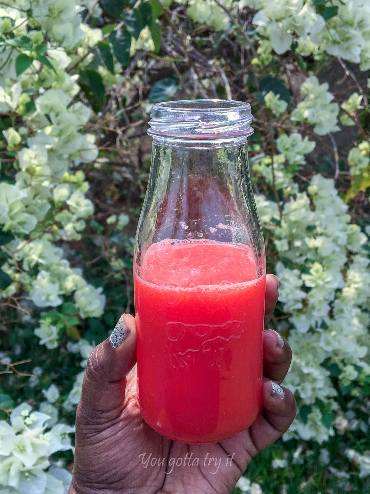 You gotta try it: This Summer vacation, take a break and visit Savi ...