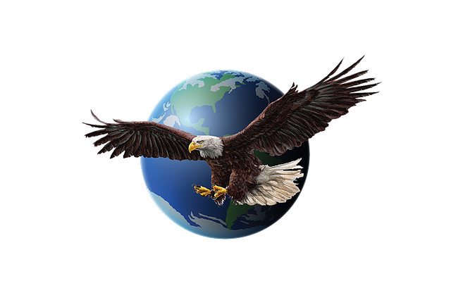 PRIVACY POLICY: EARTH EAGLE BROWSER, PART OF OUR BROWSER ECOSYSTEM