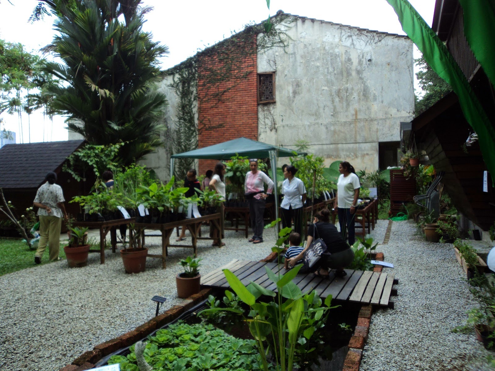 MNS Green Living: The Free Tree Society of Kuala Lumpur