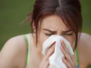 stop allergie: Allergie aux acariens - symptômes