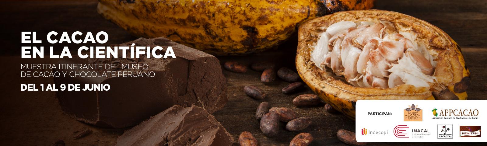Investiga Innova Cacao Chocolate - Research Innova Cocoa Chocolate ...