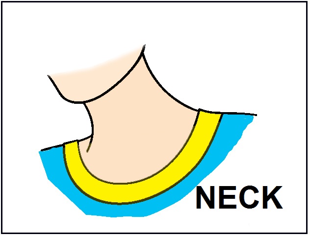 PIBID UEL Inglês - 2011: Parts of the body