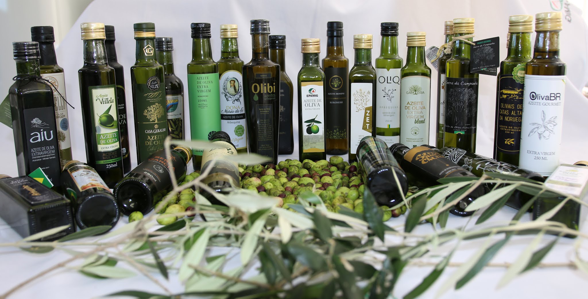 Saiba onde encontrar os melhores Azeites Mineiros ~ Conheça Minas