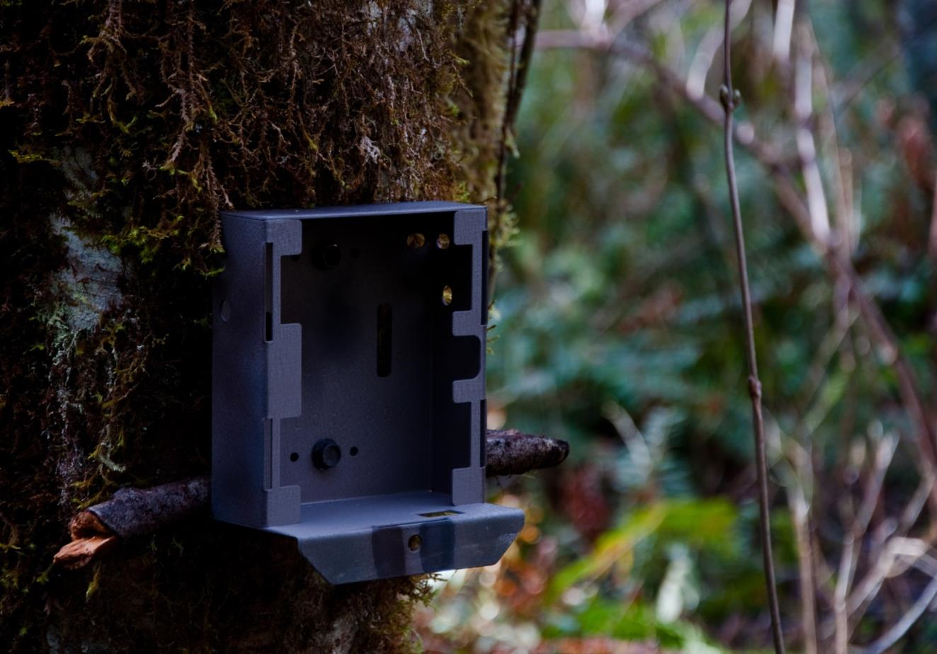 Crazy Trail Cam Pictures