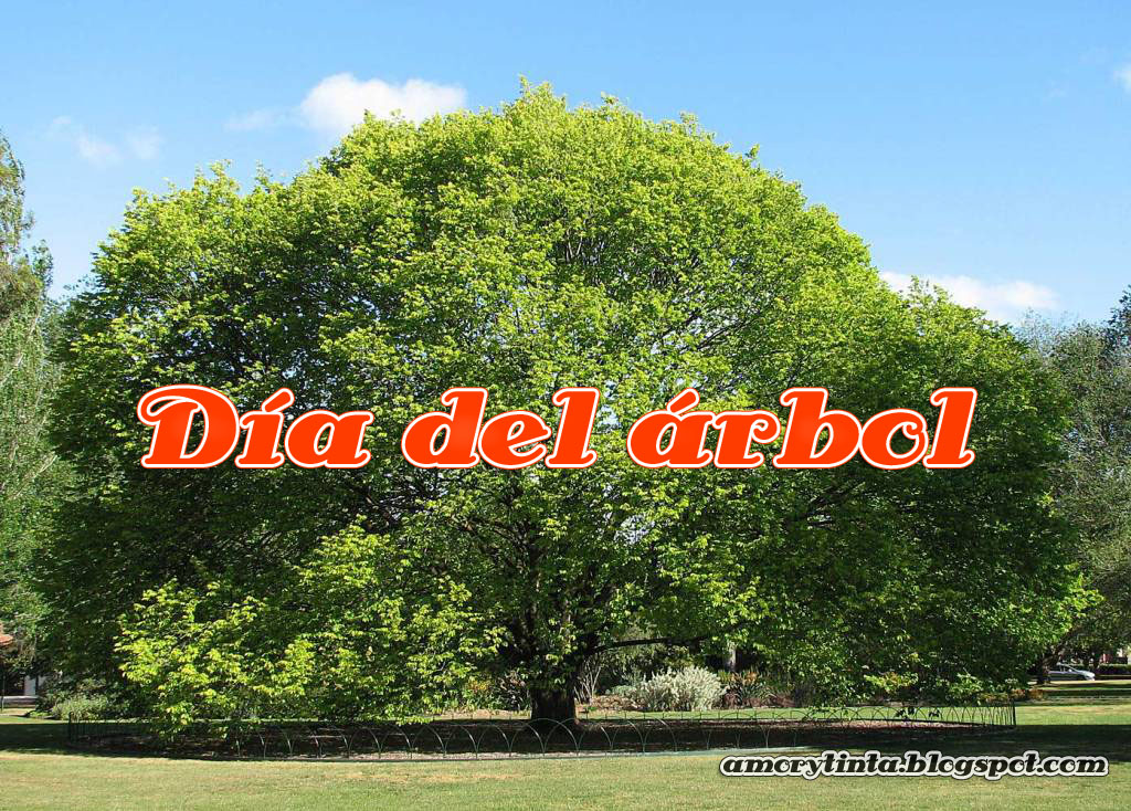 Amor y Tinta: Imagenes del día del árbol