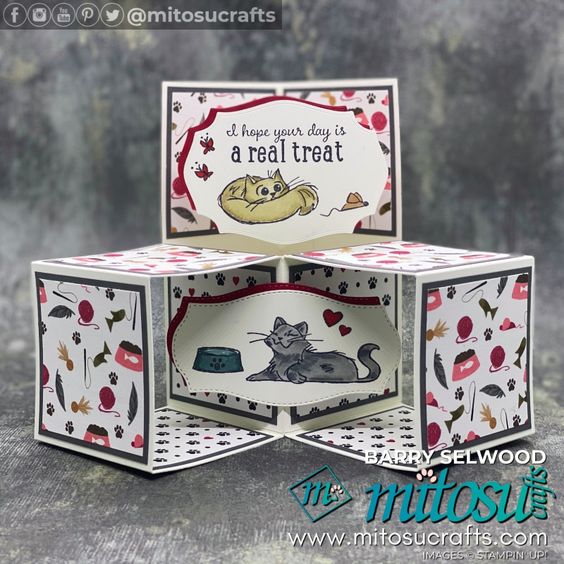 Passion Carton: 2020