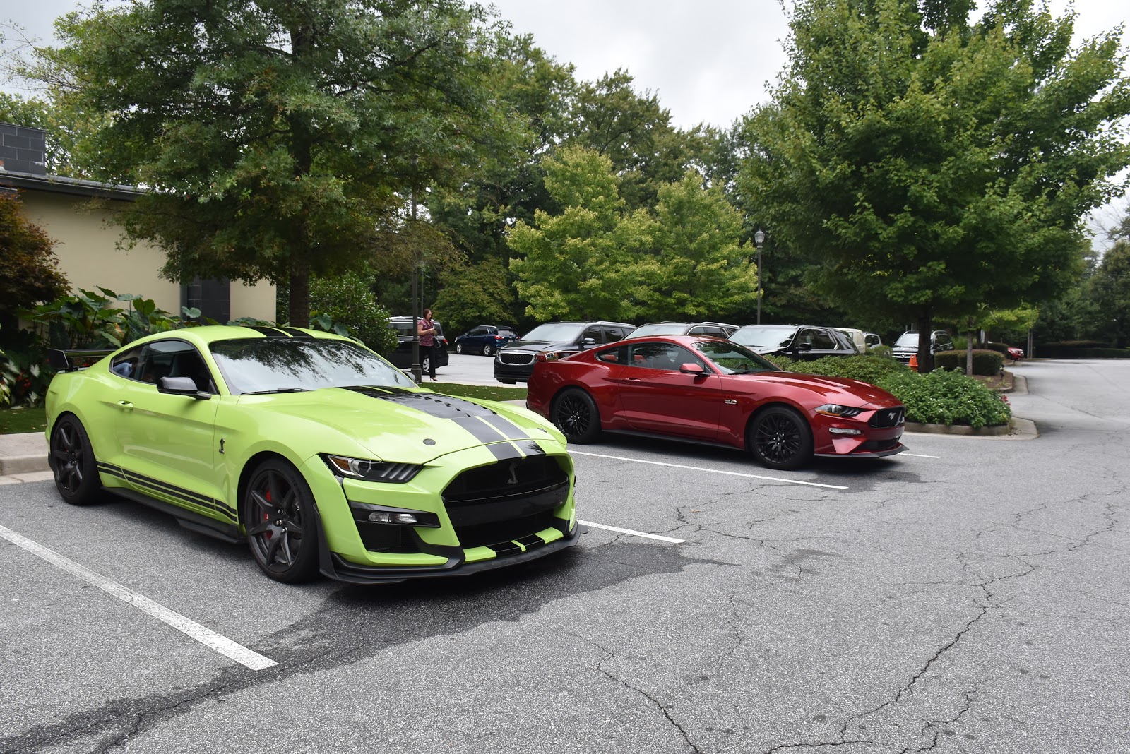 See How I Celebrated Ford Mustang's 55th Anniversary