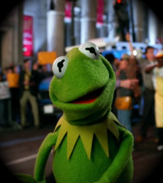 Daniel Fincke is an adjunct professor at Hofstra University, Hunter ...