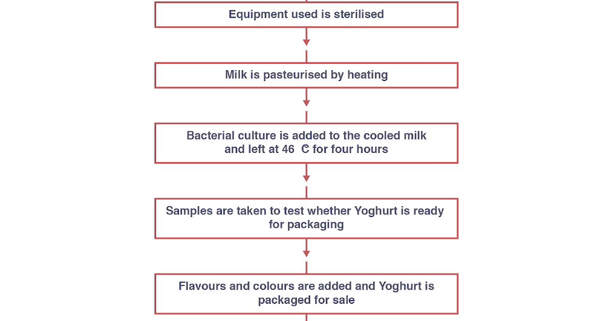 IGCSE Biology 2017: 5.7: Understand the Role of Bacteria (Lactobacillus ...