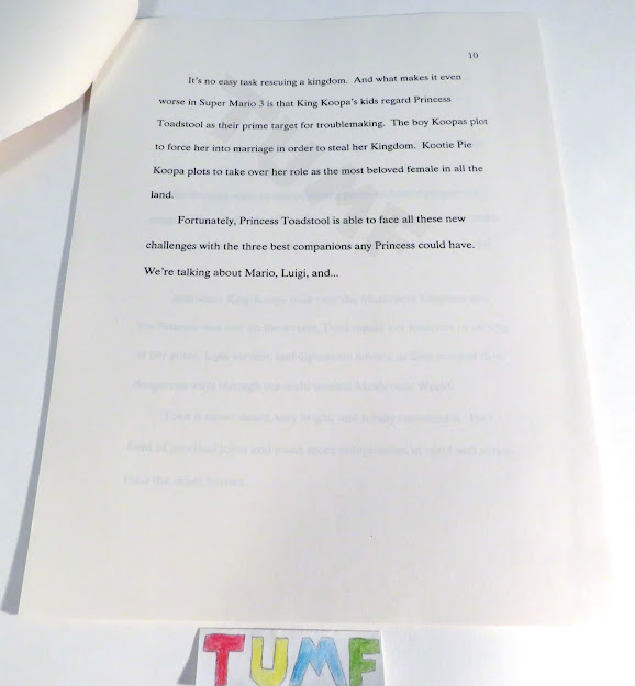 The Ultimate Mario Fan's Blog: The WRITER'S BIBLE of "The Adventures of ...