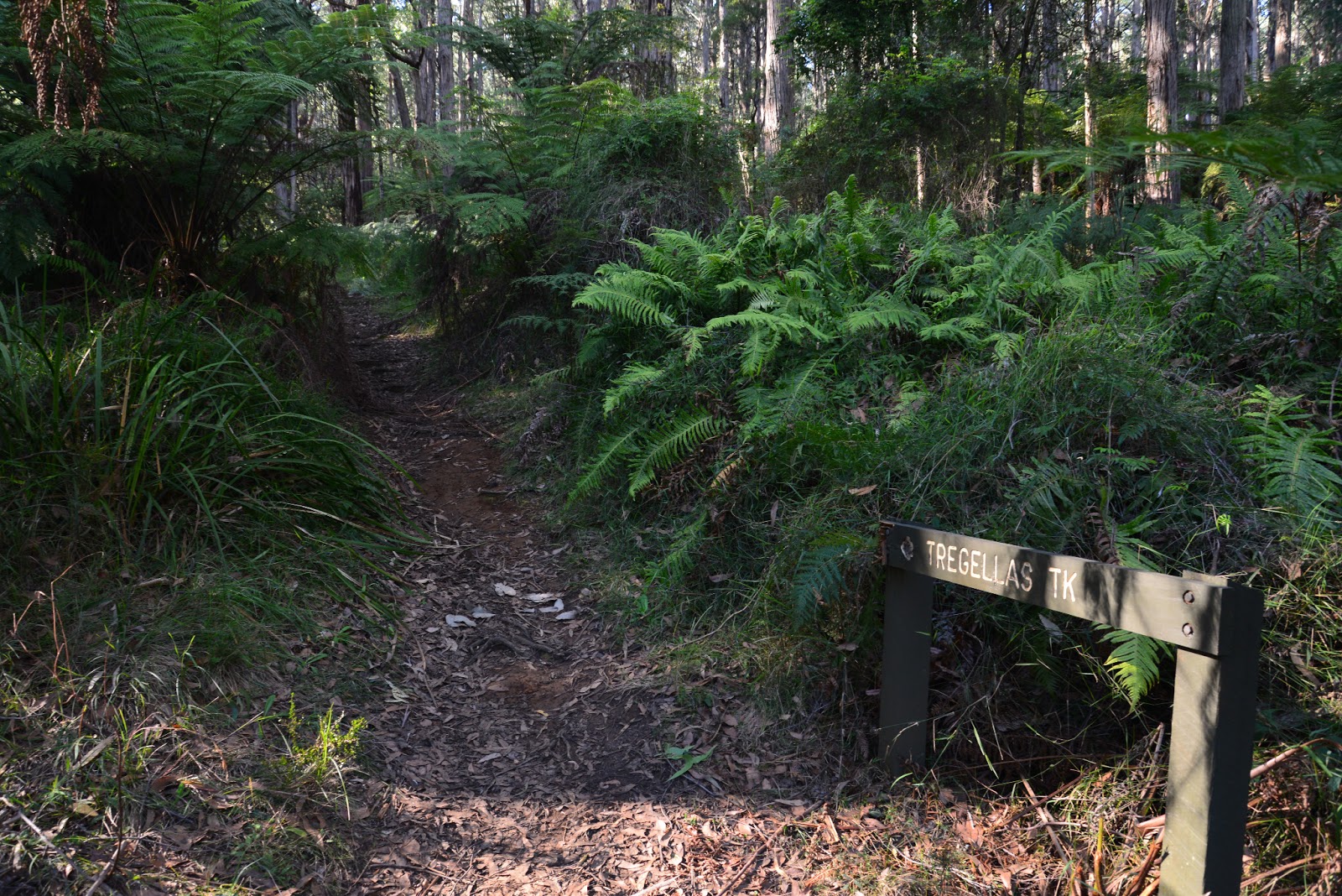 walkabouters club of victoria inc: Sherbrooke Forest, Dandenong Ranges ...