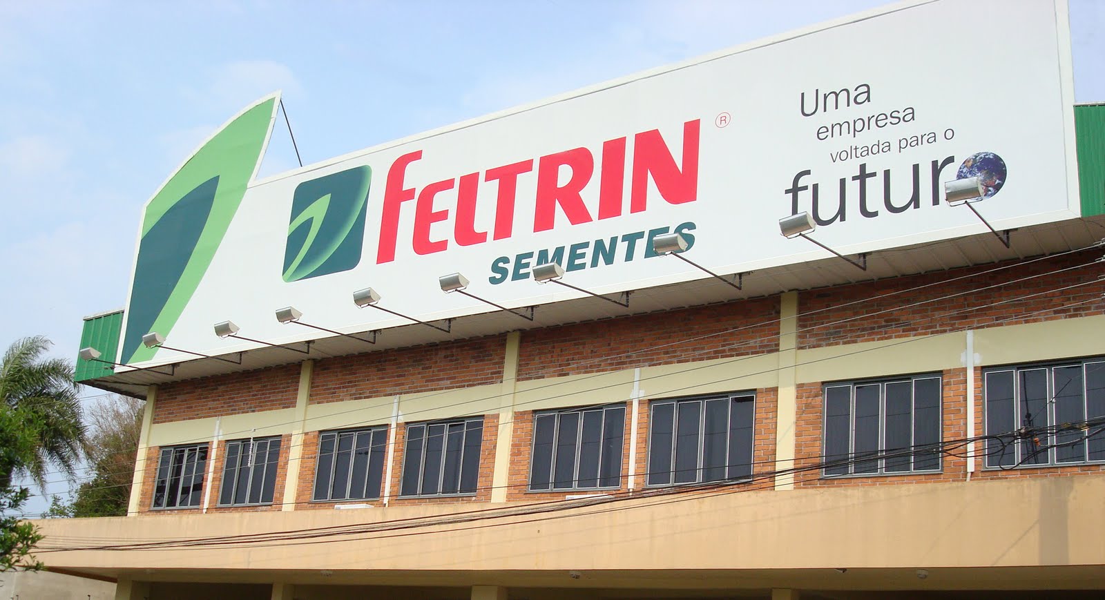 Mídia Sul Comunicação Visual: Feltrin Sementes