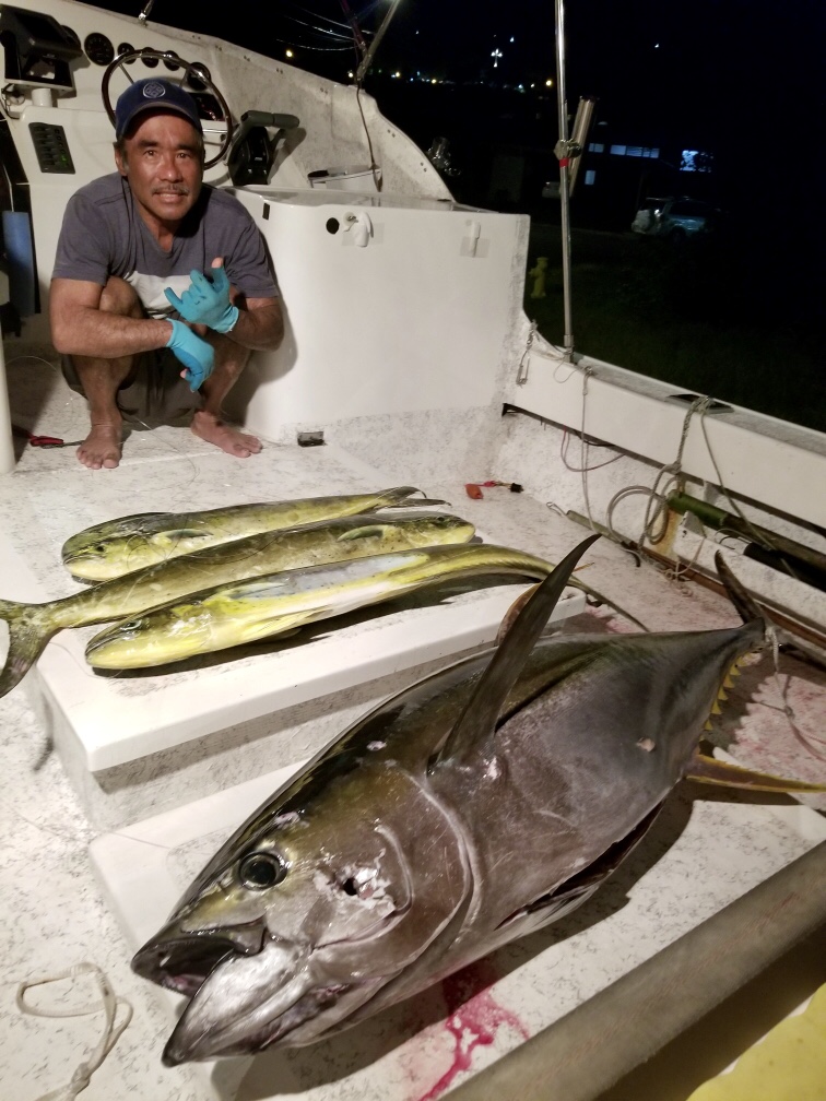 Red Sea Ocean Adventures: Fish and Poi