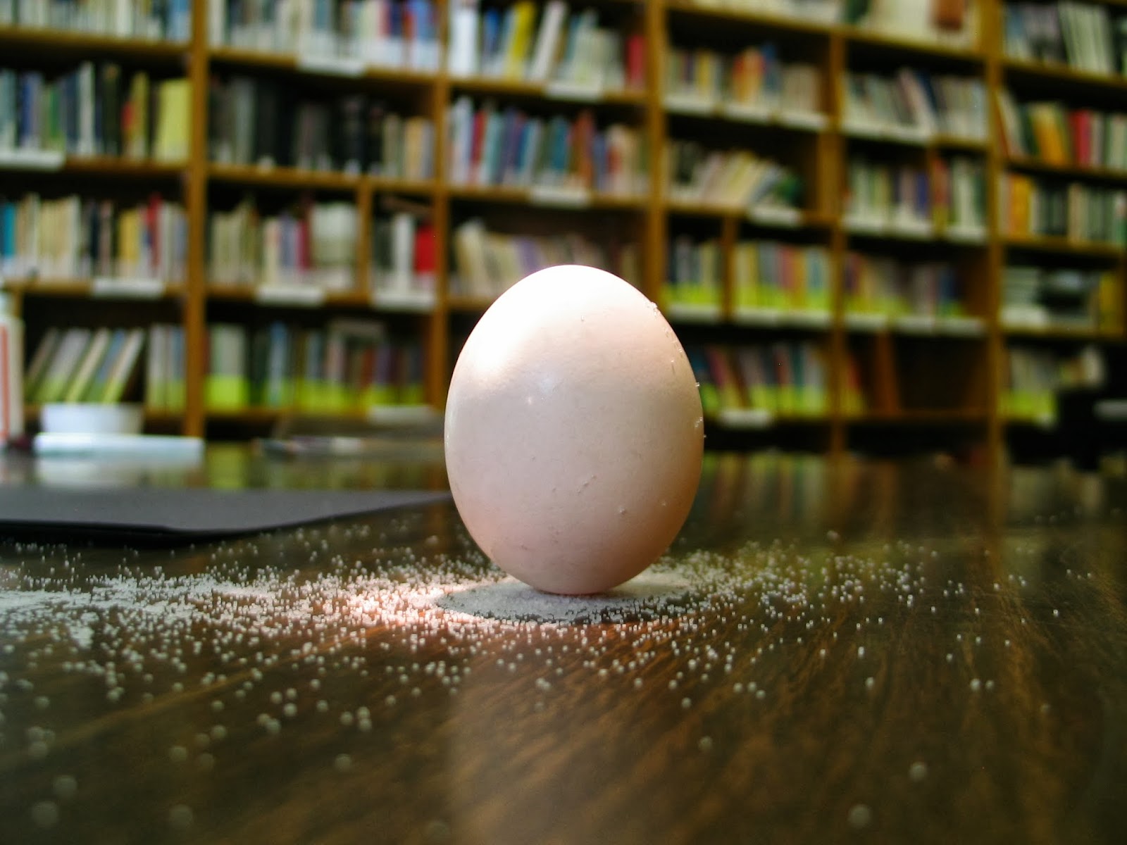 Learning in Place: Autumnal Equinox